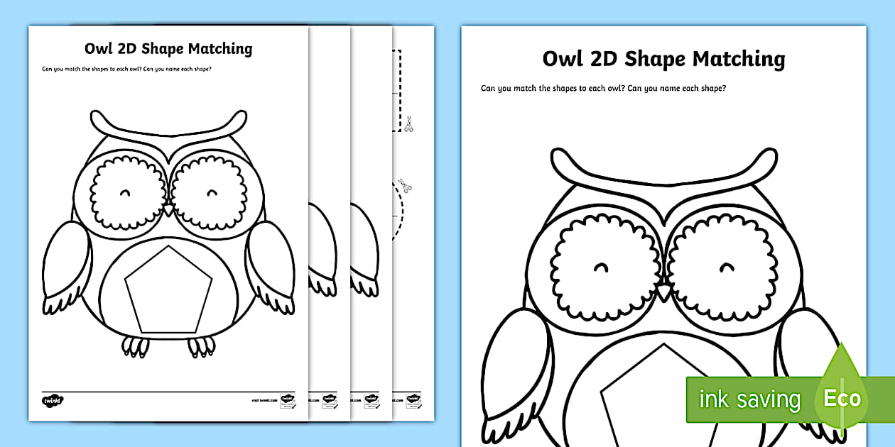 Owl 2D Shape Matching Activity (teacher made) - Twinkl