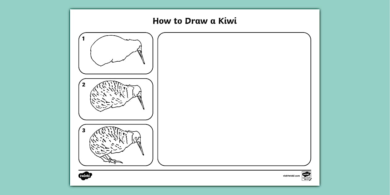 How to Draw a Kiwi Activity (teacher made) - Twinkl