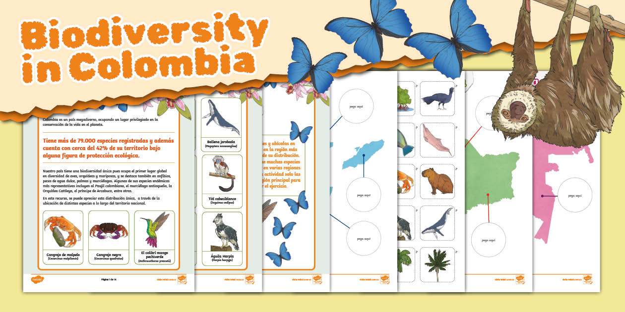 Ecological Map of Colombia: Biodiversity Activity