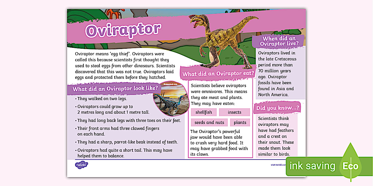 Oviraptor Fact File - Dinosaurs - KS1 (Teacher-Made)