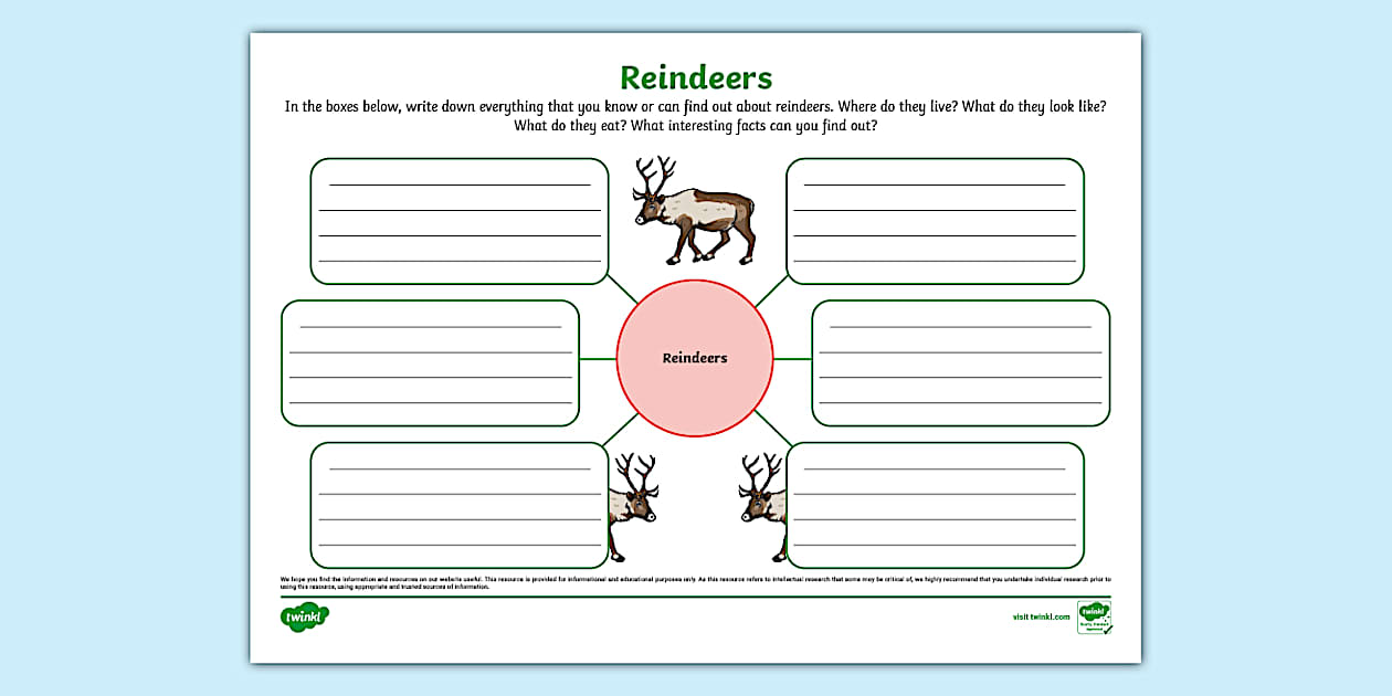 Reindeers Mind Map (teacher made) - Twinkl