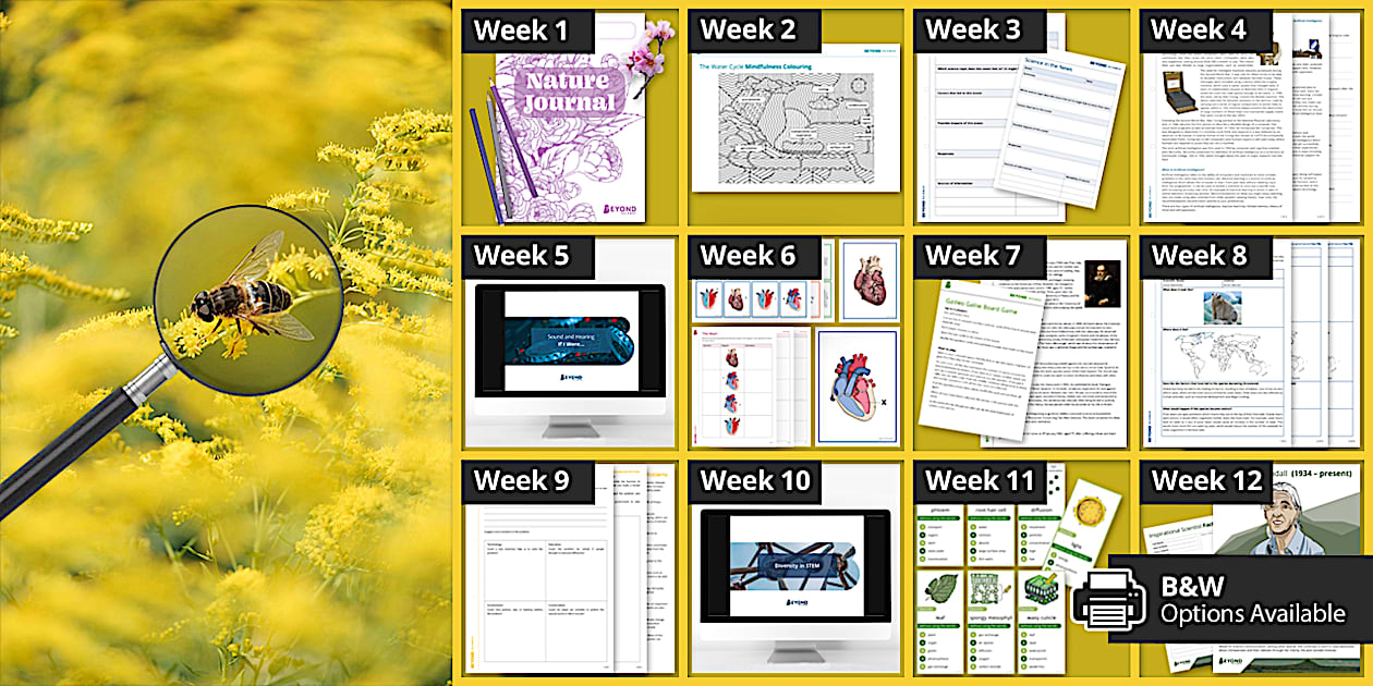 Science Form Time Activities Pack (Spring) (teacher made)