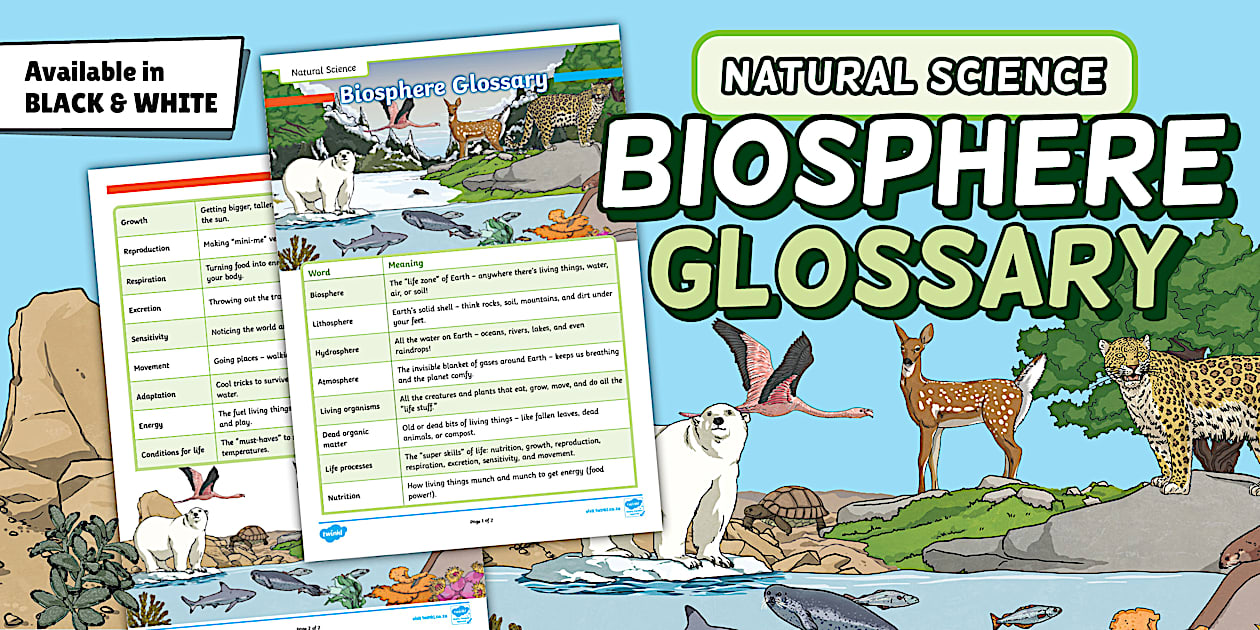 Grade 7 Natural Science Term 1 Biosphere Glossary