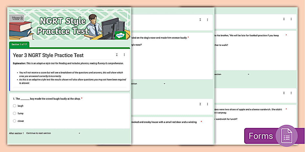 Year 3 NGRT Style Practice Test - Twinkl