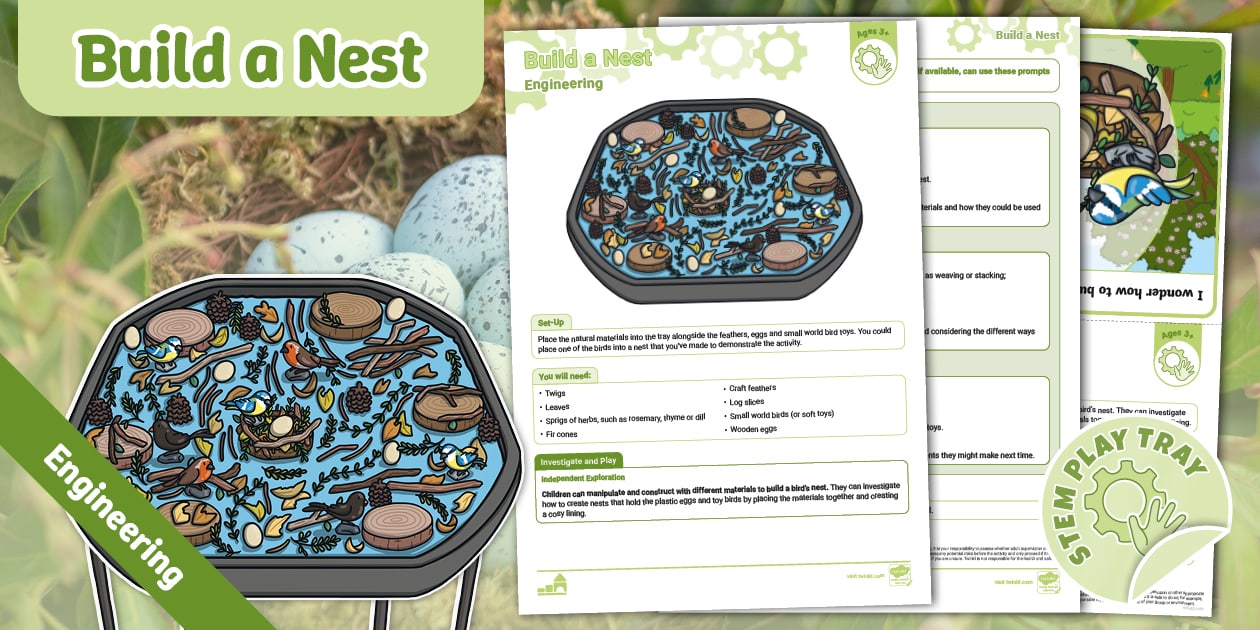 Spring STEM Investigate and Play Tray: Build a Nest | Twinkl