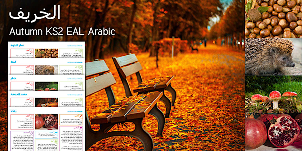 Imagine Autumn KS2 Resource Pack Arabic (Teacher-Made)