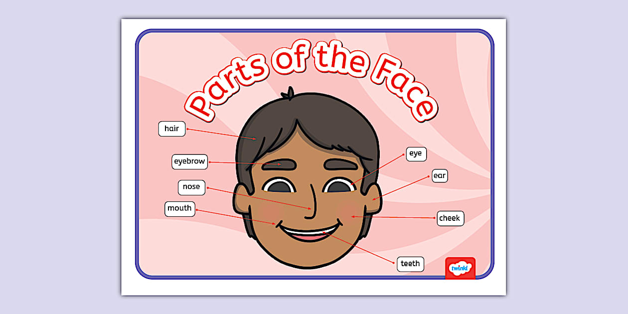 Parts of the Face Display Poster (teacher made) - Twinkl