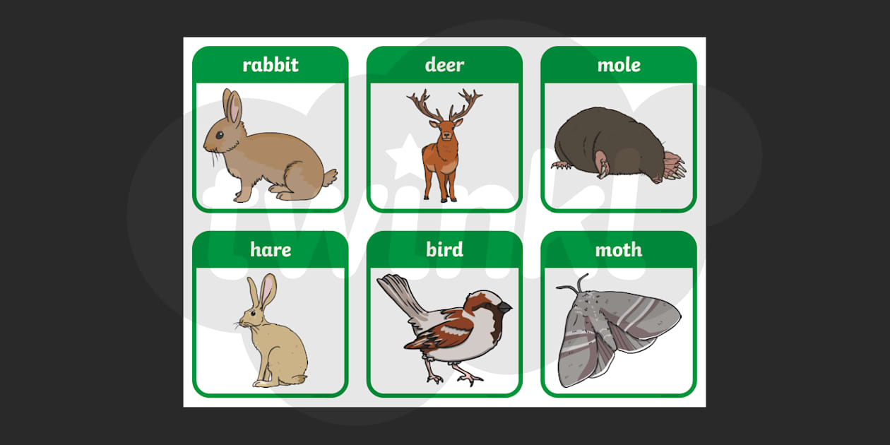 forest creature names