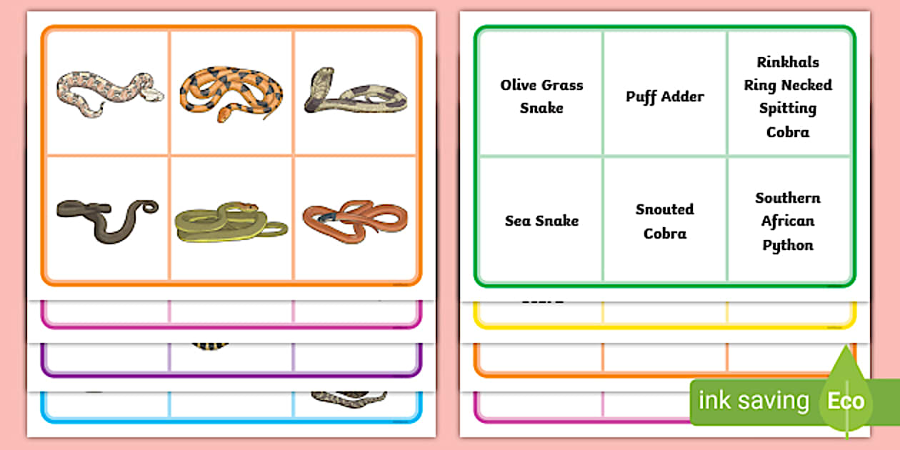 Snakes of South Africa Identification | Bingo Game - Twinkl