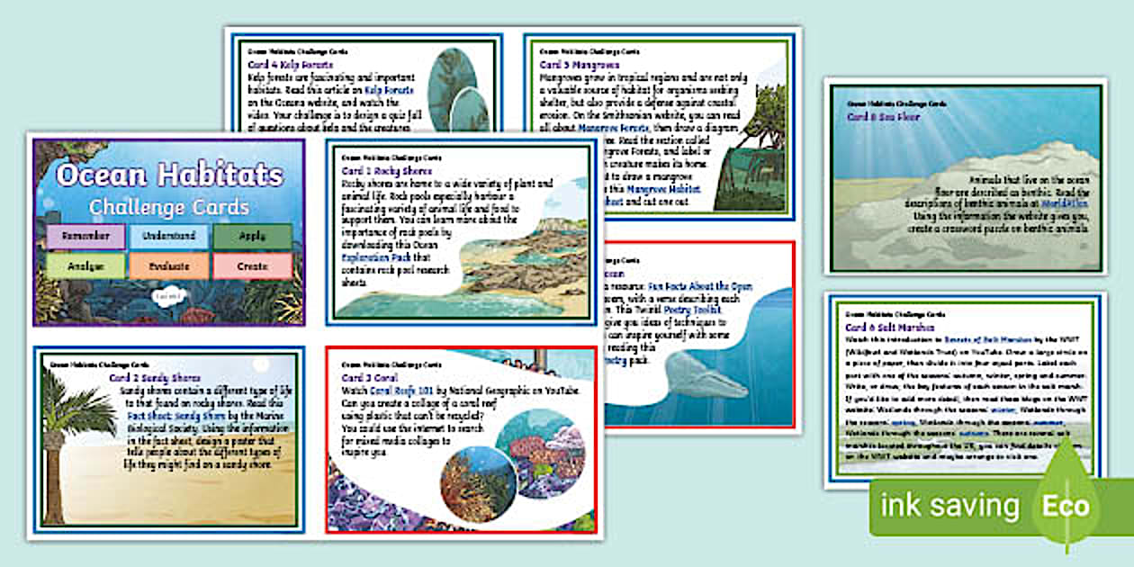 Ocean Habitats Challenge Cards | Homeschooling Resources