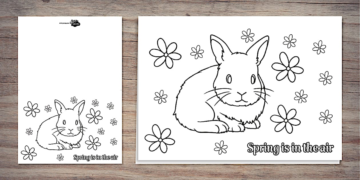 Baby Rabbit Spring Colouring Card | Twinkl Party - Twinkl