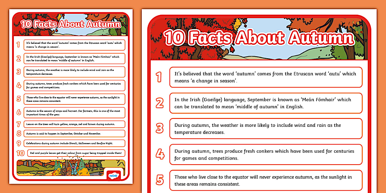 10 Facts about Autumn Display Poster (teacher made) - Twinkl