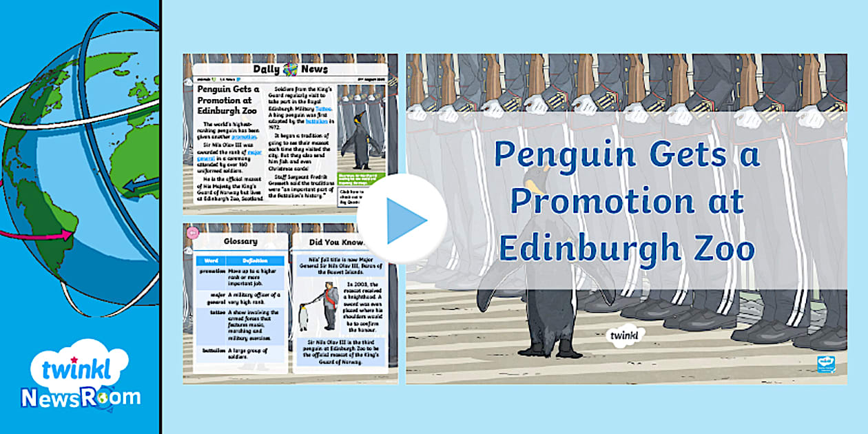 Penguin Gets a Promotion at Edinburgh Zoo | Twinkl Resources