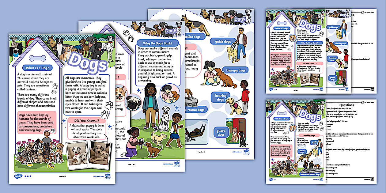 KS1 All About Dogs Differentiated Reading Comprehension Activity