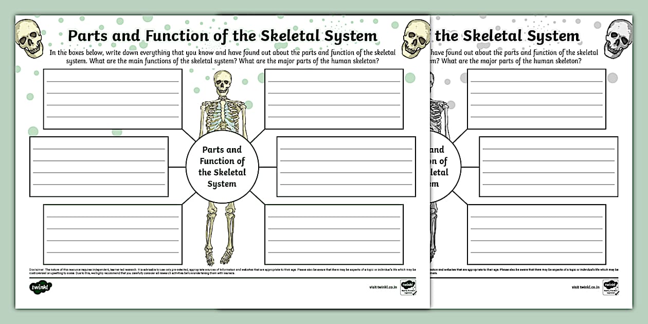 * NEW * Parts and Function of the Skeletal System Mind Map