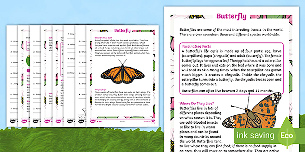 Editable Butterfly Reading Comprehension Pack (teacher made)