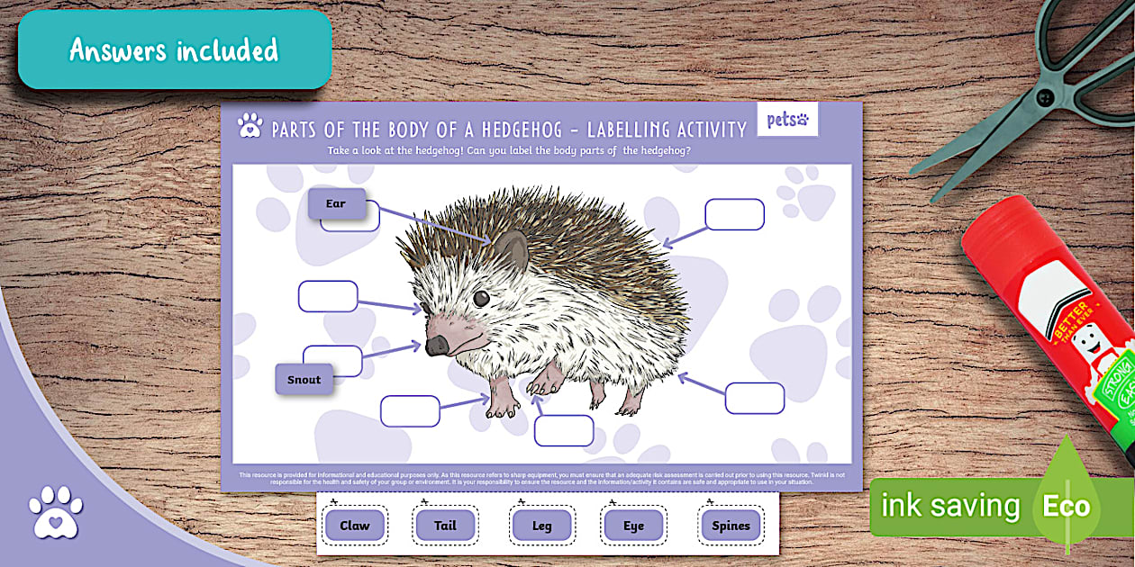 Parts of the Body of a Hedgehog - Labelling Activity - Pets