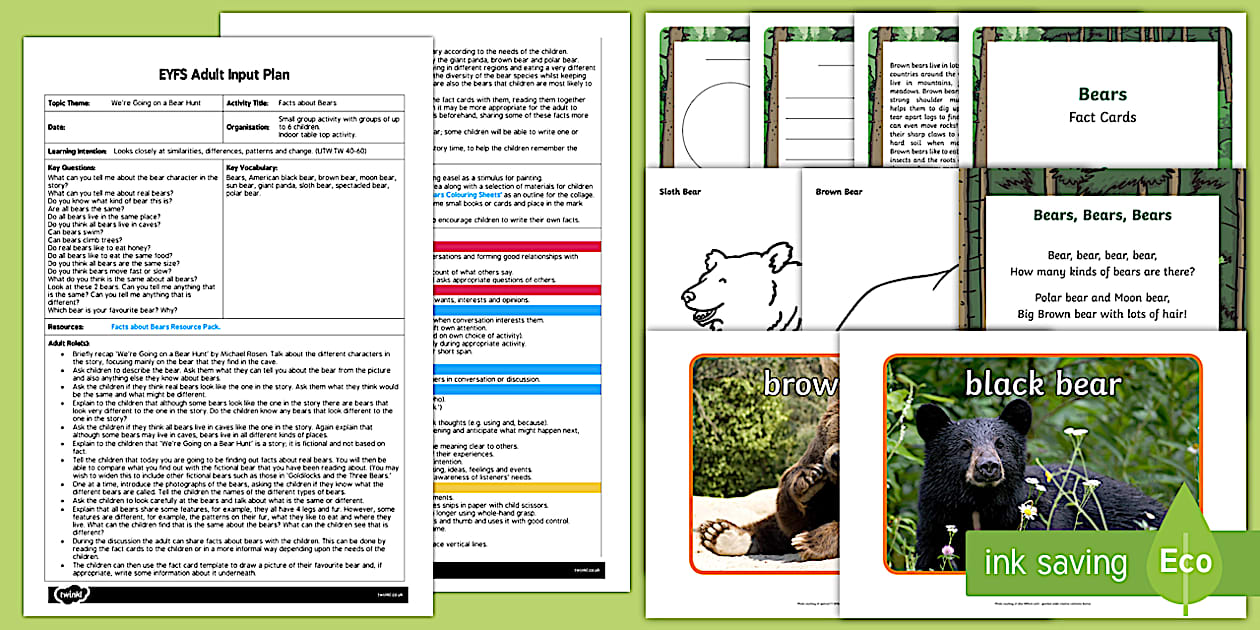 Black and White Facts about Bears EYFS Adult Input Plan and Resource Pack