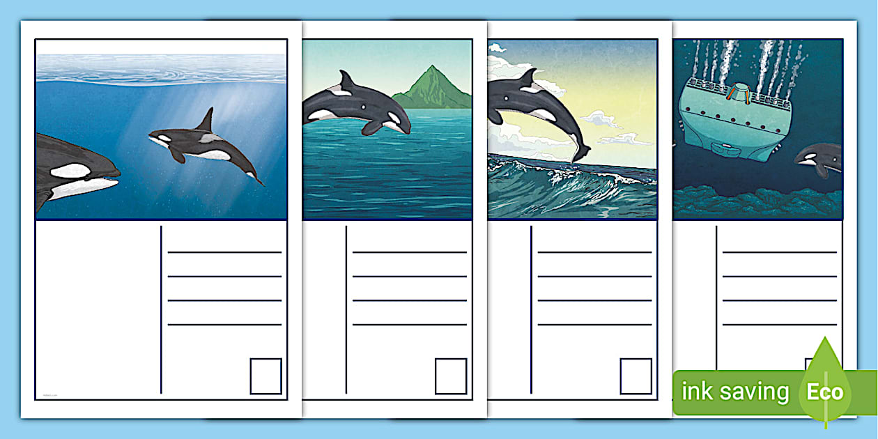 Vibrant Orca Postcards | Twinkl | Stationery | KS1 | Writing