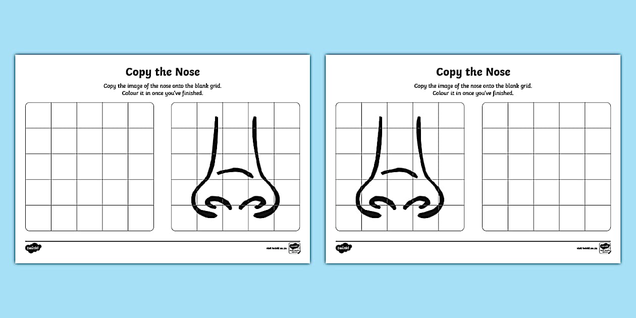 Foundation Phase Creative Arts Copy the Nose Worksheet (CAPS)
