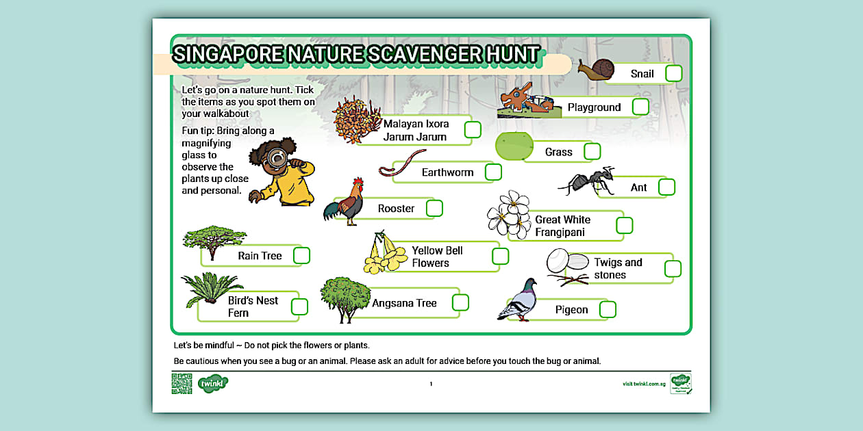 Outdoor education, Singapore, Outdoor learning, beyond the 4 walls