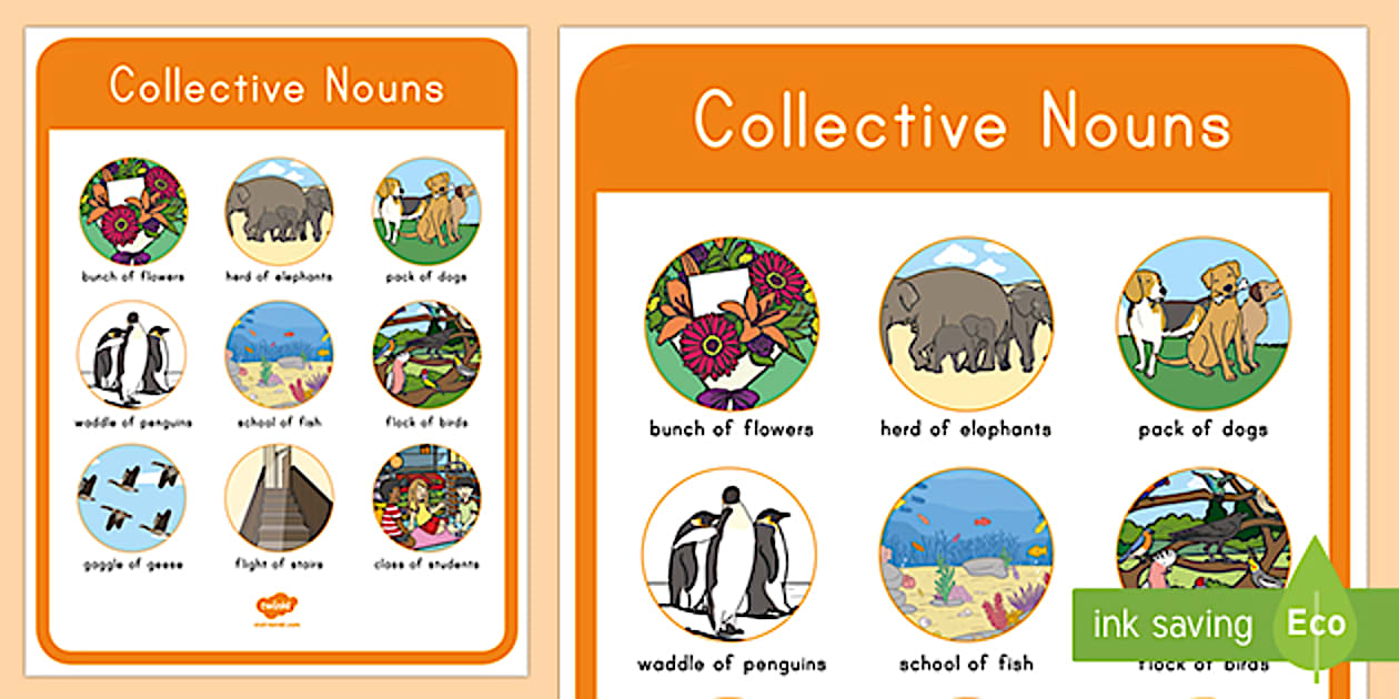 Second Grade Collective Nouns Poster (teacher made) - Twinkl