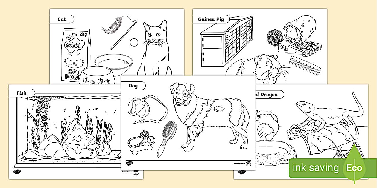 Needs of Pet Animal Colouring Pages (teacher made) - Twinkl
