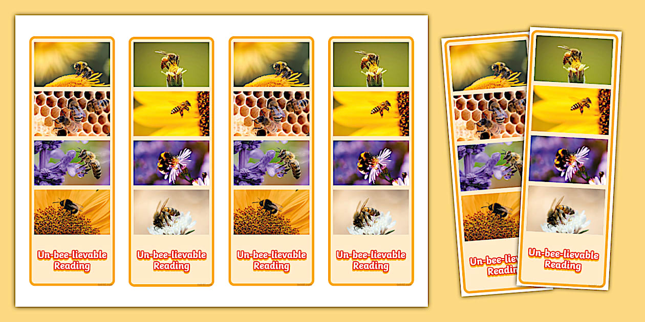 Bee Photo Strip Bookmarks (teacher made) - Twinkl