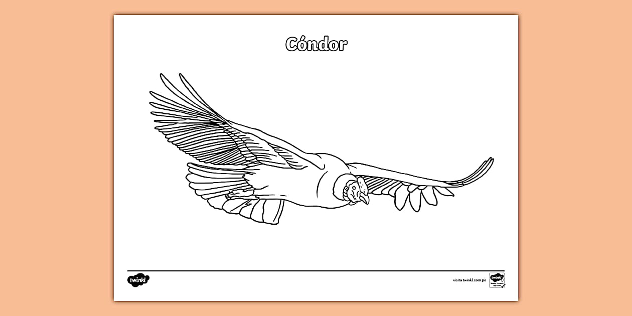Ficha: Cóndor para colorear | Materiales Educativos Twinkl