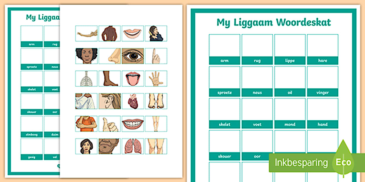 Editable My Liggaam Woordeskat Aktiwiteit - Twinkl
