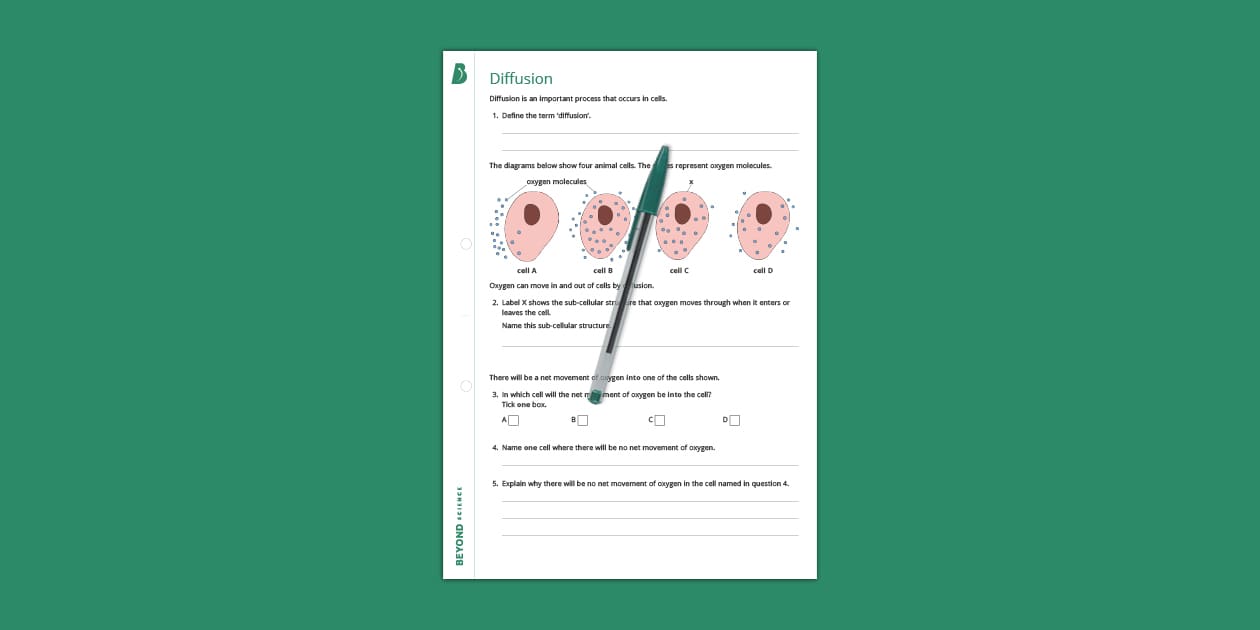 KS3 Diffusion in Cells Worksheet | Beyond Science - Twinkl