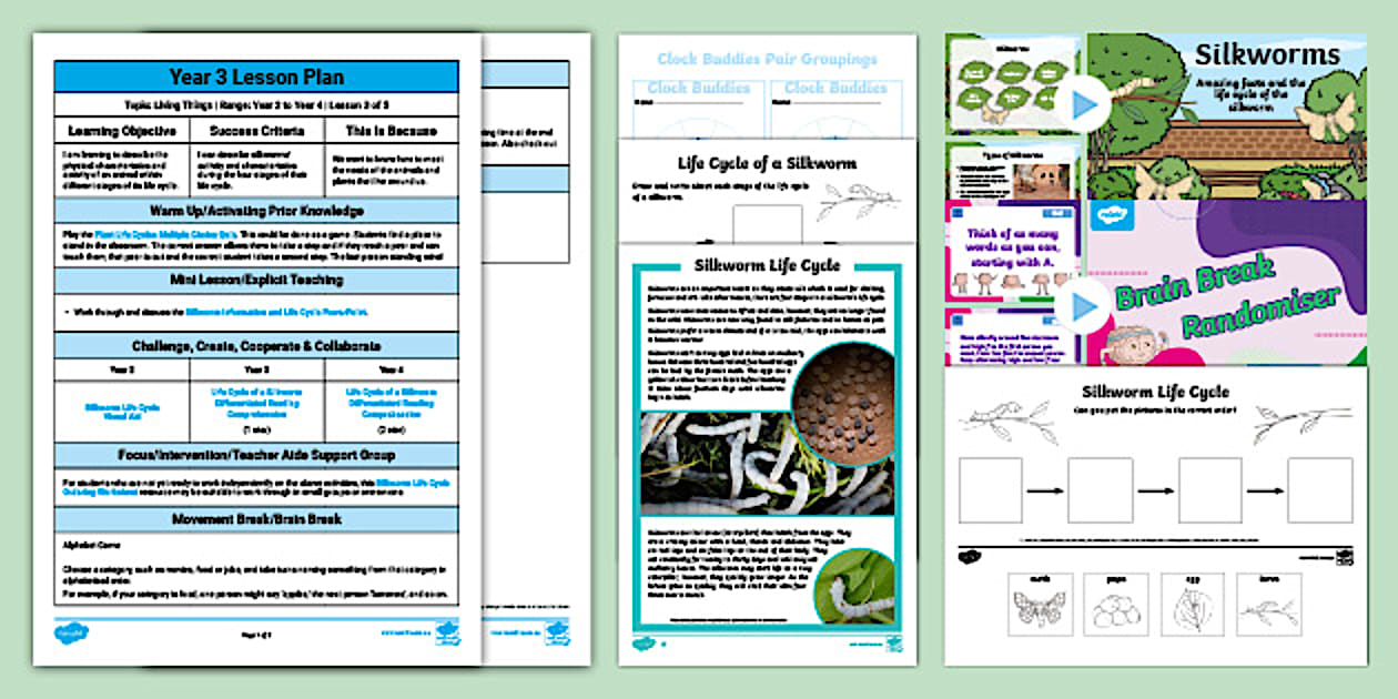 Year 3 Inclusion Living Things Differentiated Lesson Plan 3