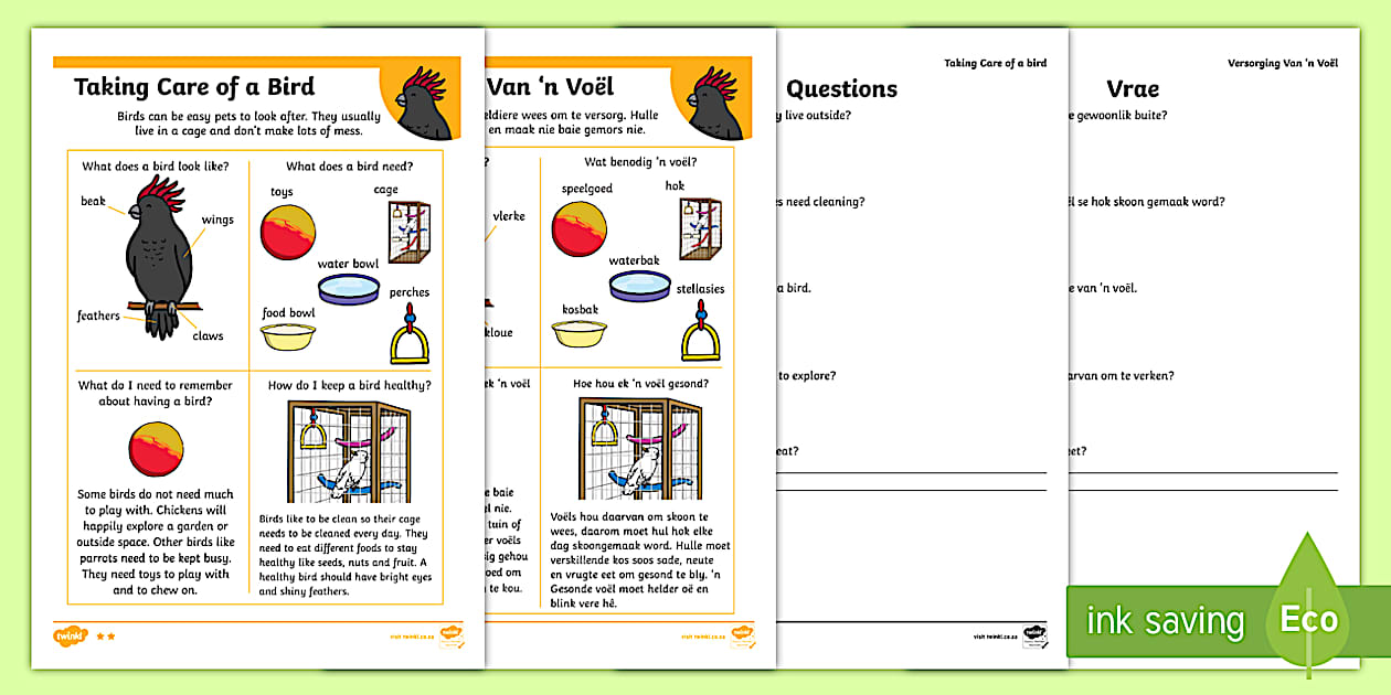 Black and White How To Look After a Bird Differentiated Reading ...