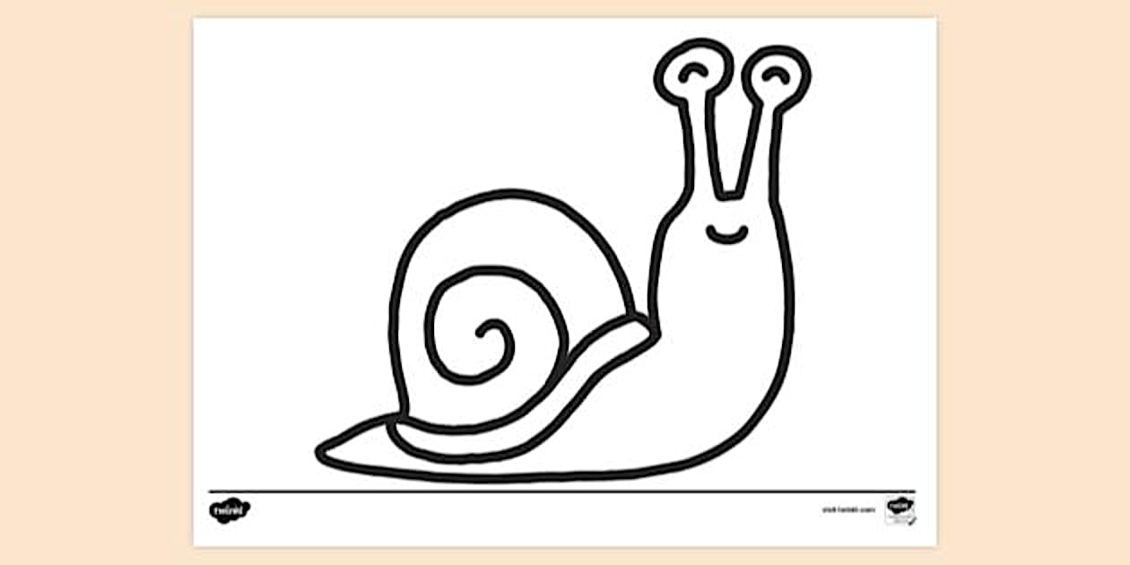 Snail Colouring Sheet | Colouring Sheets (Teacher-Made)