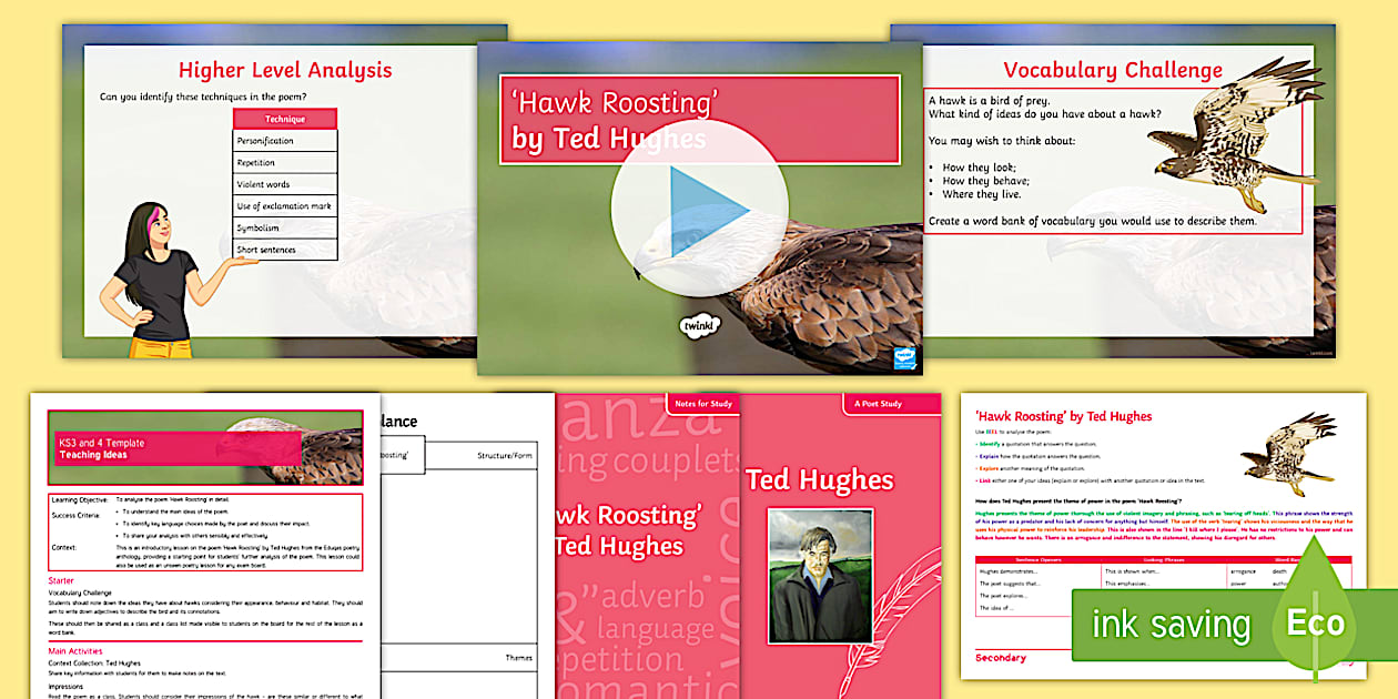 GCSE Poetry Lesson Pack - 'Hawk Roosting' by Ted Hughes