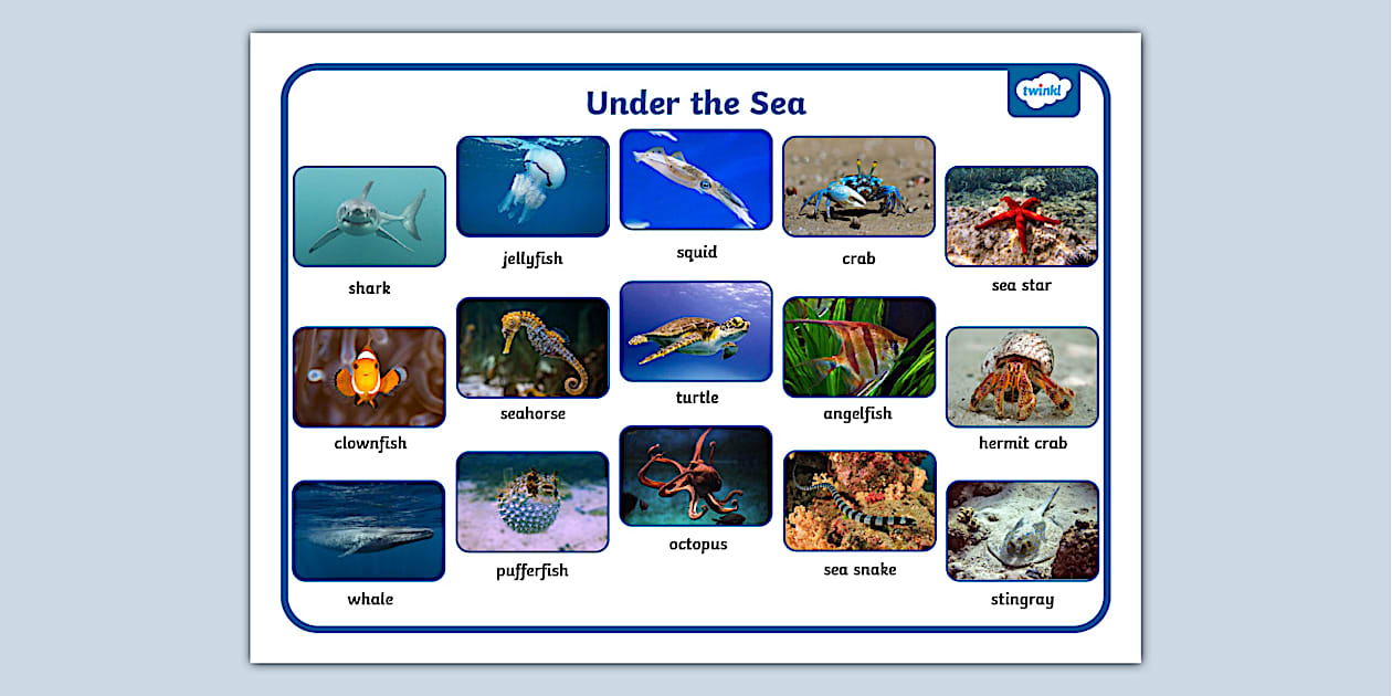 Under the Sea Photo Word Mat (teacher made) - Twinkl