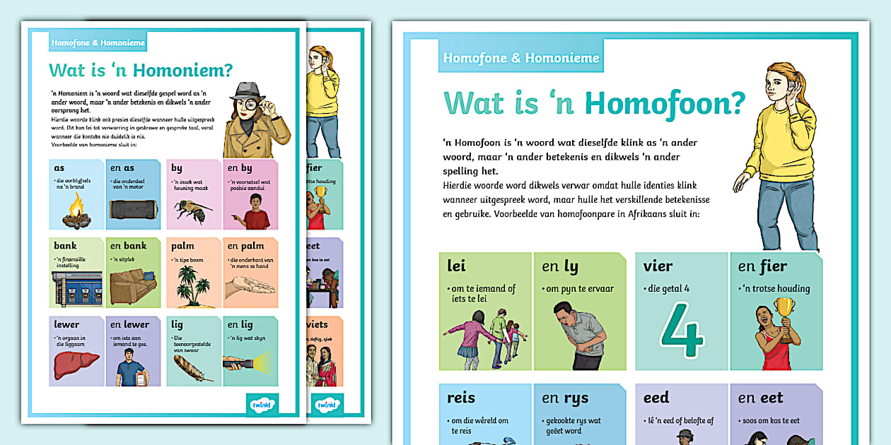 Homofone en Homonieme Vertoonplakkaat (teacher made)