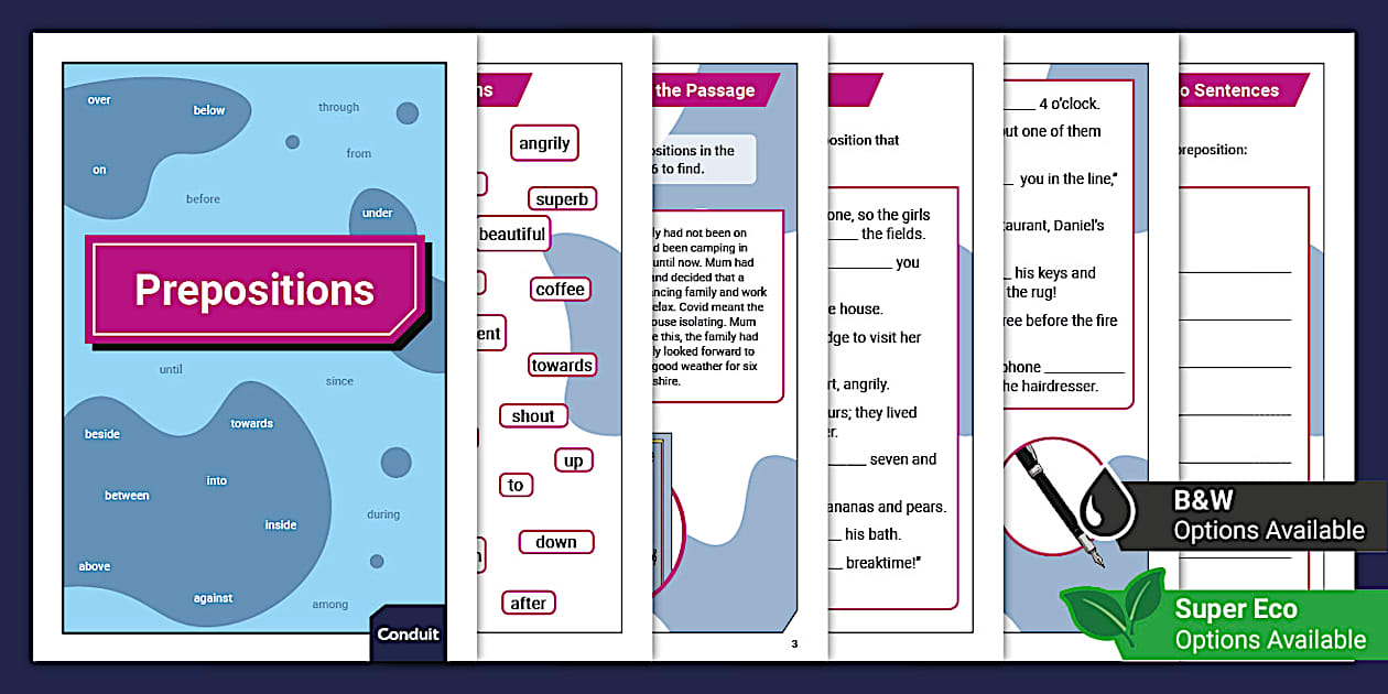 Literacy Lesson: Prepositions Booklet (teacher made)
