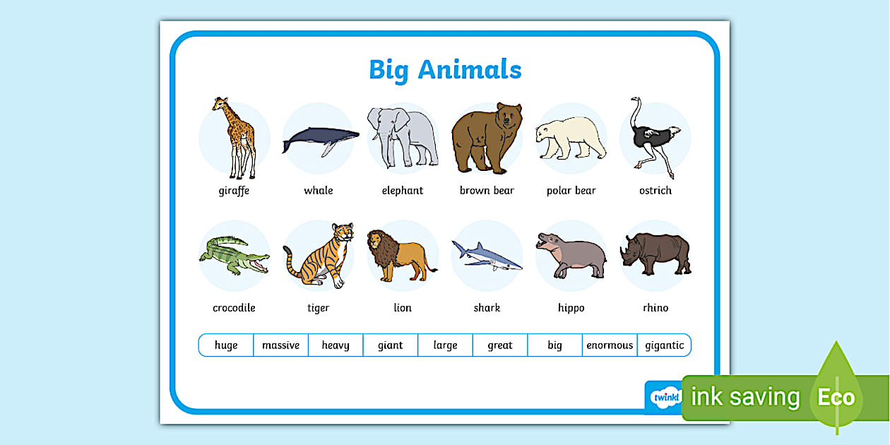 Big Animals Word Mat (teacher made) - Twinkl