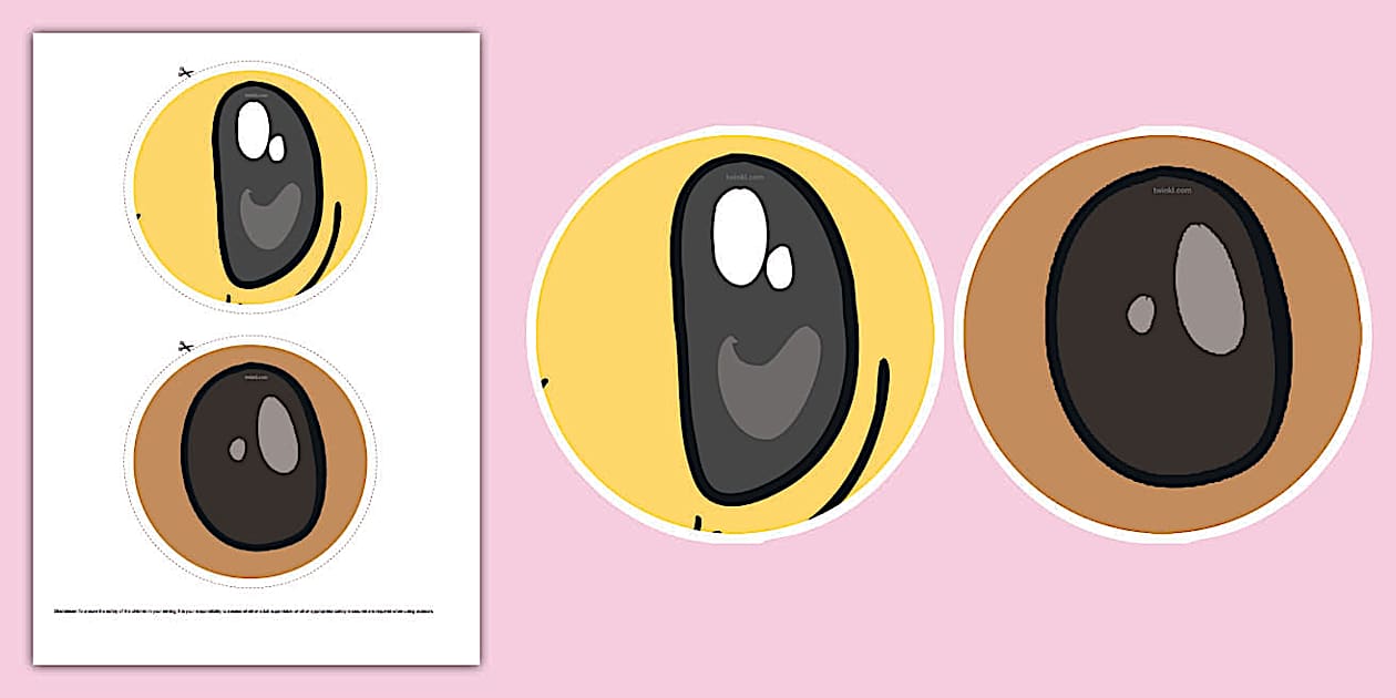 Bug Eyes Cut-Outs (teacher made) - Twinkl