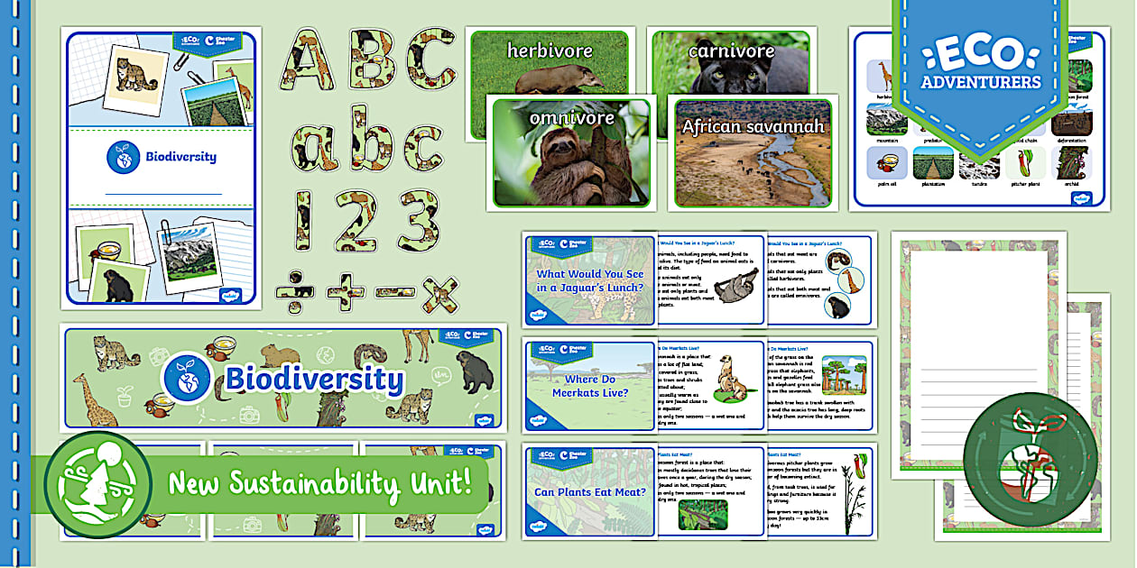 Year 2 Biodiversity: Display Pack (Teacher-Made) - Twinkl