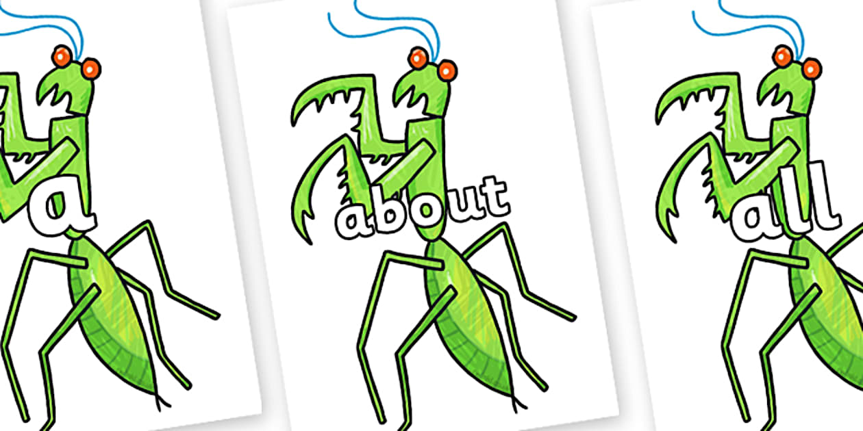 Precursive 100 High Frequency Words on Praying Mantis to Support ...