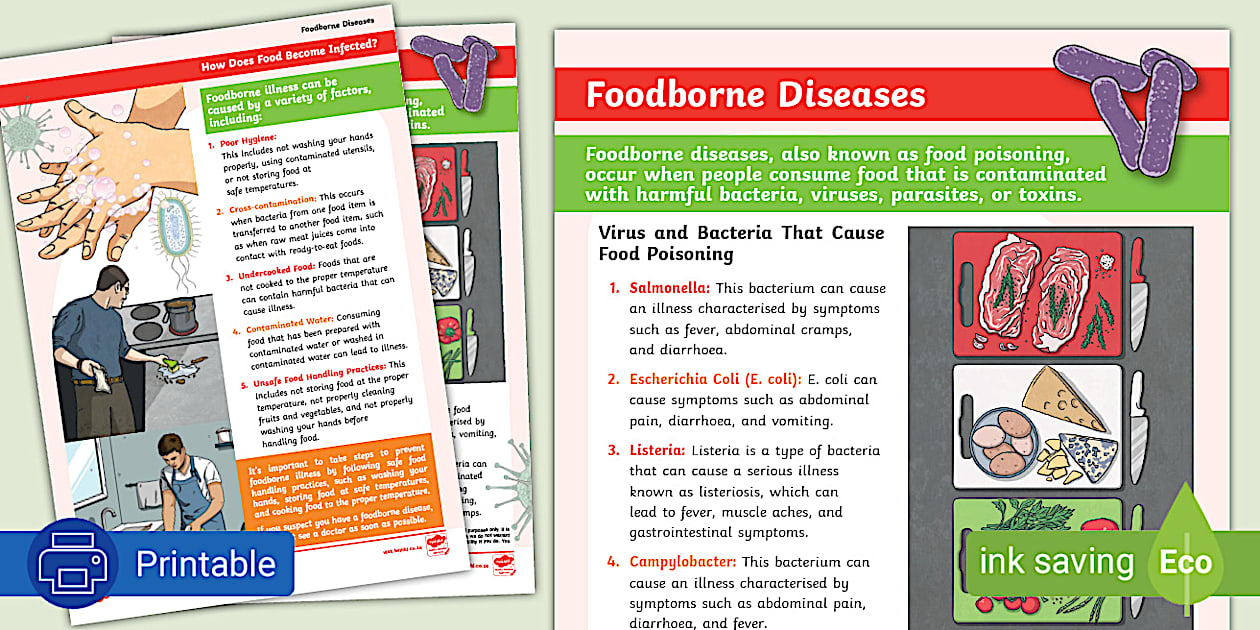 Foodborne Diseases (teacher made) - Twinkl