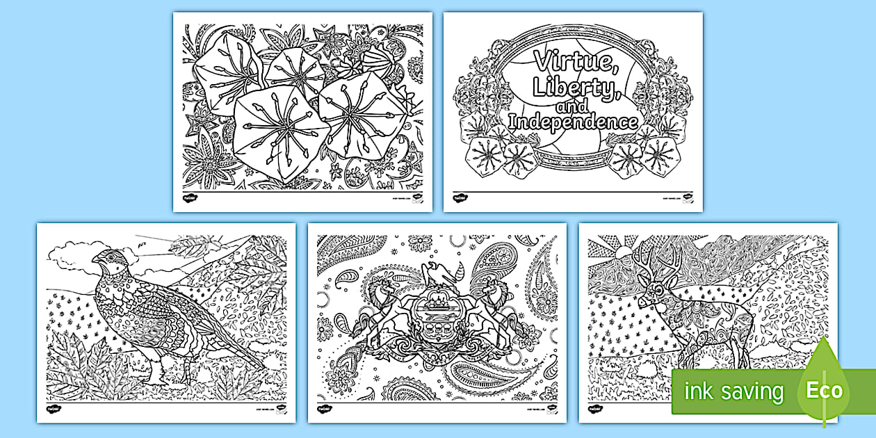 Pennsylvania State Symbols Mindfulness Coloring Sheets