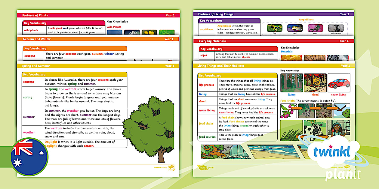 Year 1 Science Knowledge Organisers Pack (teacher made)