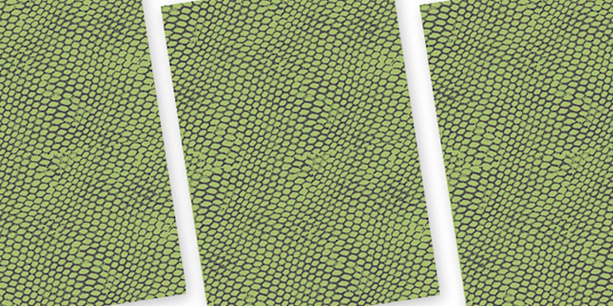 Snake Themed Pattern A4 Sheets (creat de profesori) - Twinkl