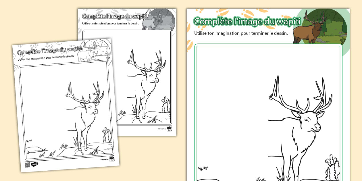 Complète l'image du wapiti - Twinkl Arts