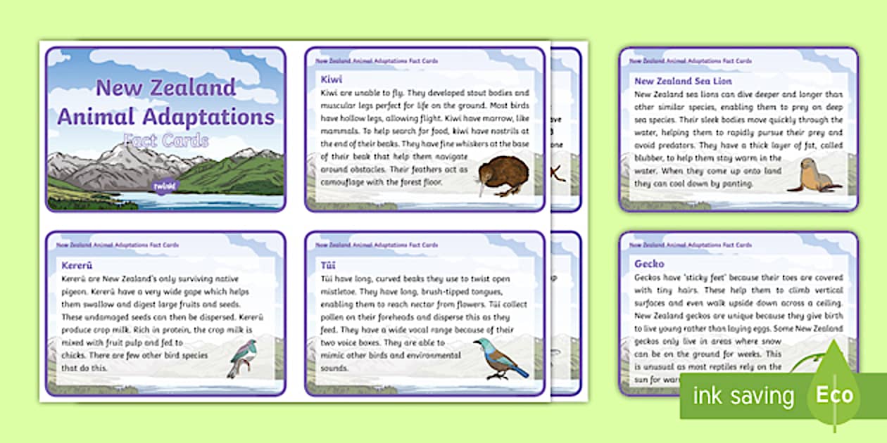 Animal Adaptation Fact Cards - English (New Zealand)