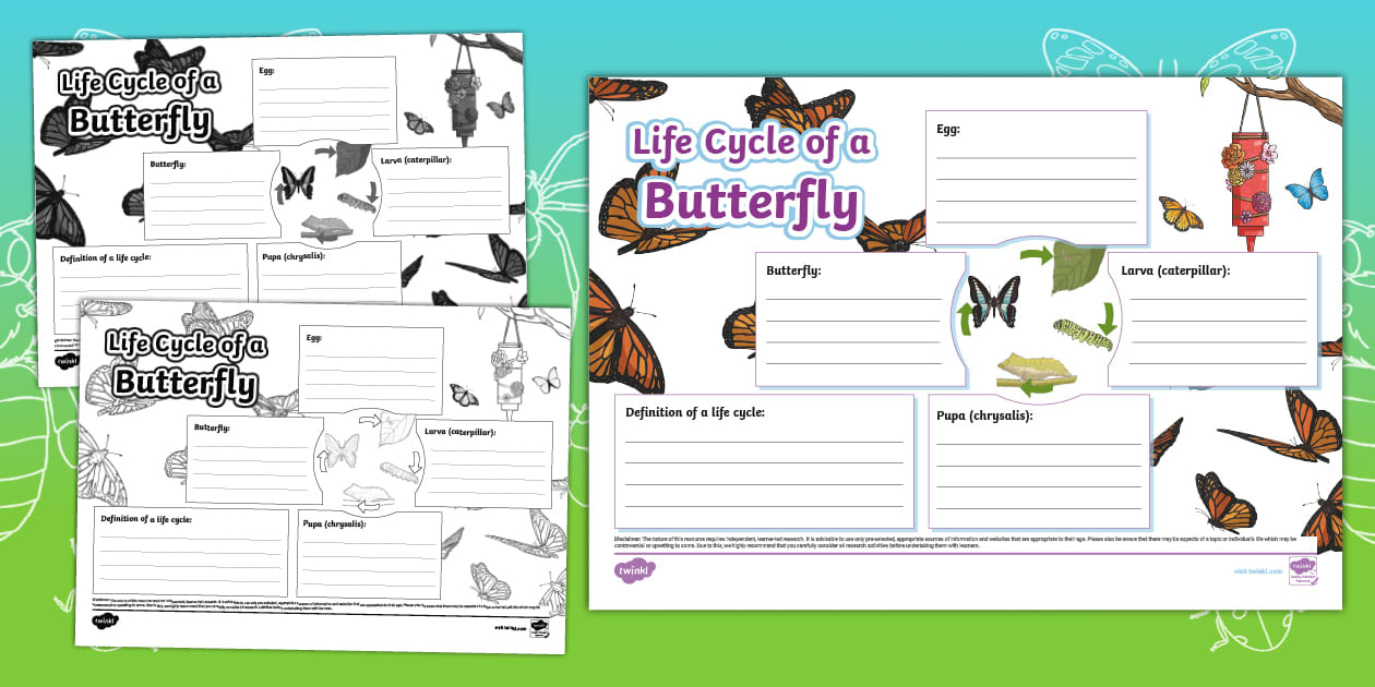 Life Cycle of an Butterfly Fact File Template (teacher made)