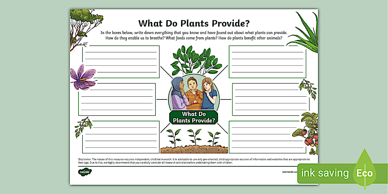 What Do Plants Provide? Mind Map (Teacher-Made) - Twinkl